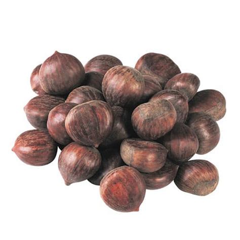 Chest Nuts Fmcg Groups Inc