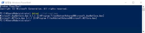 Net Core Windows Server Hosting のバージョンアップをする