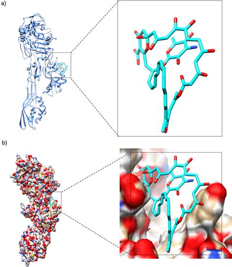 Representation Of Simulated Complex A Full 3 D View Of Binding Of