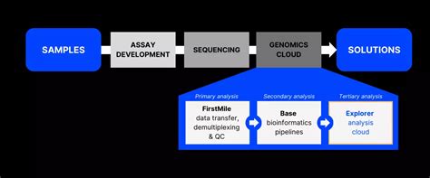 A Deep Dive Into Explorer Analysis Cloud Gencove