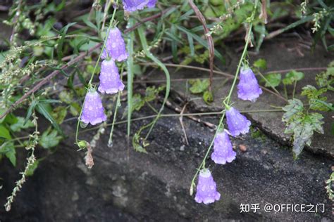 社区发现和聚类有什么区别？ 知乎