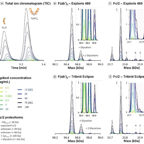 Total Ion Chromatogram A And Deconvolved Spectra B E Of Download Scientific Diagram