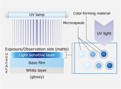 Uv Scale Ultraviolet Light Distribution Measurement Film