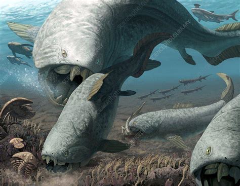 An Adult Dunkleosteus Hunting A Juvenile Dunkleosteus R Naturewasmetal