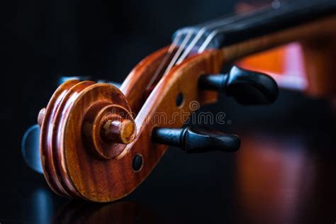 Violin Scroll Stock Image Image Of String Scroll Macro 79019305