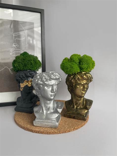 Кашпо дальд кашпо с мохом — цена 200 грн в каталоге Кашпо Купить товары для дома и быта по