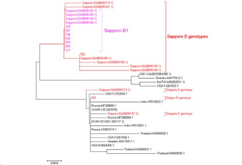 multilocus sequence analysis mlsa based mid rooted phylogenetic tree