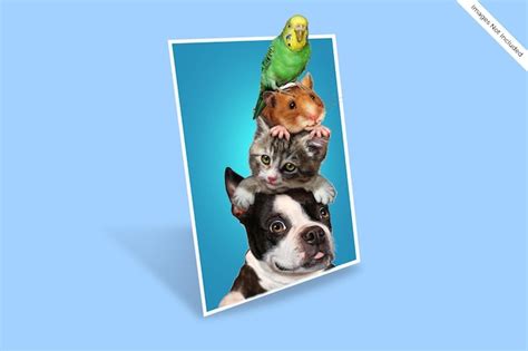 Premium Psd Outstanding Out Of Bounds Photo Effect Technique