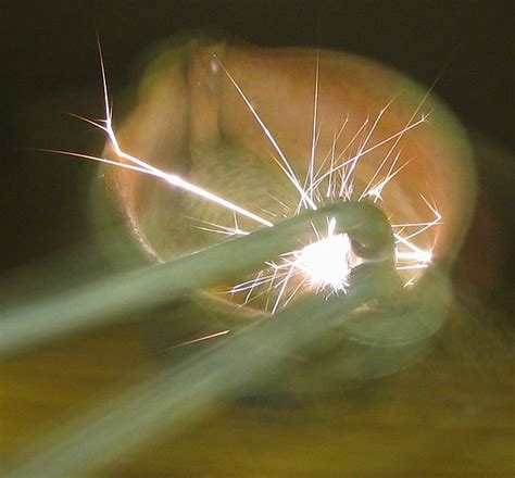 File Flint Spark Lighter Striking  Wikimedia Commons