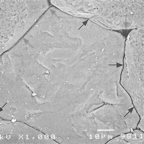 Grain Boundary Pores And A Microfracture Taken From Möri Et Al 2003 Download Scientific