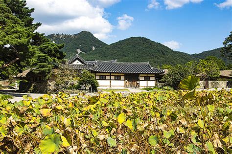유토이미지 한국의 전통 민속 마을 기와집 풍경