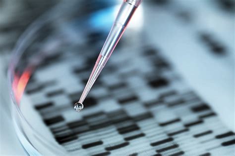 Stem Cell Find May Mean End Of Three Person Ivf