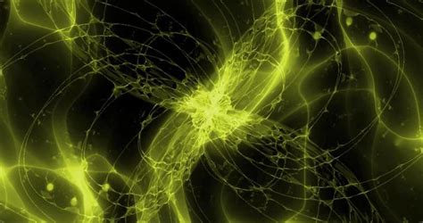 Spider Web Green Screen Stock Video Footage For Free Download