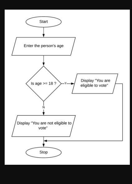 Draw A Flowchart To Accept The Age Of A Person Display The Message