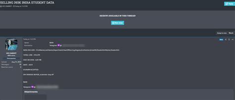 A Threat Actor Is Allegedly Selling 250 Usa Cc