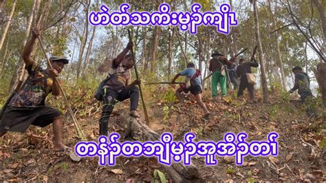 ဟဲဝာ်သကိးမ့ၣ်ကျိၤတနံၣ်တဘျီမ့ၣ်အူအီၣ်တၢ် Youtube