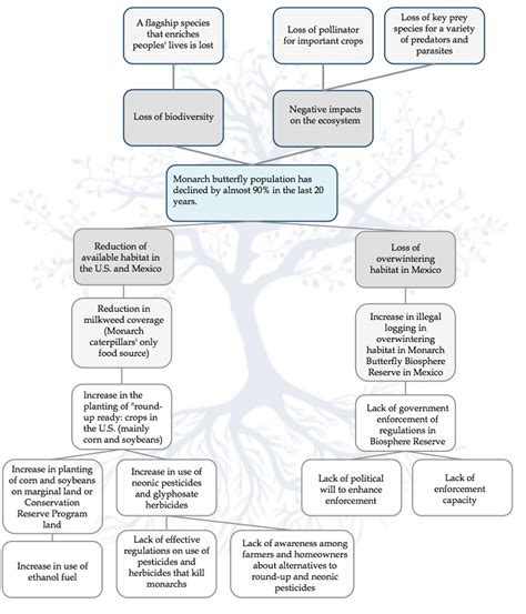 Impact By Design Problem Trees Help Diagnose The Underlying Causes Of Key Issues That The Team