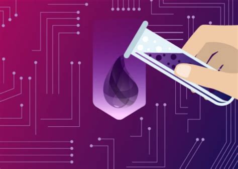 Introduction To The Elixir Programming Language 2024 Guide Instagridme
