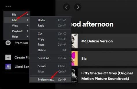 How To Enable Hardware Acceleration On Spotify For Windows And Mac