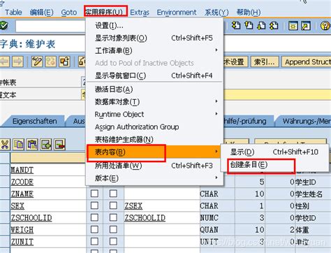 Abap 创建透明表条目abap Se16 Display Column Csdn博客 Abap 创建透明表条目abap Se16 Display Column Csdn博客