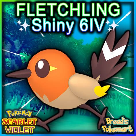Fletchling Shiny 6iv Pokemon Scarlet And Violet Lv1 Ready Etsy