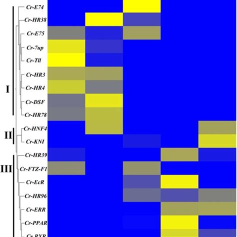 Heat Map Representing The Hierarchical Clustering Of Features Of