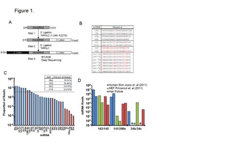 Current Mirna Seq Method Yields Inaccurate Mirna Quantification A