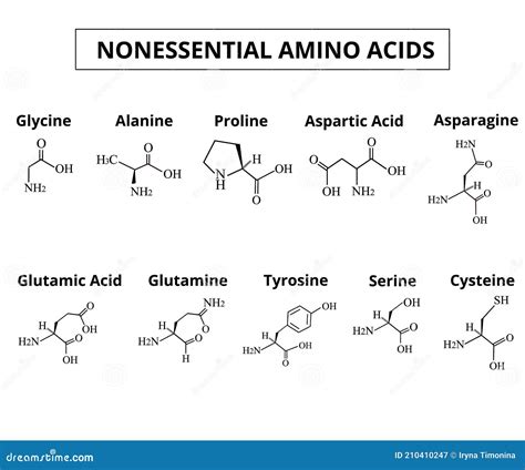Amino Acids Structural Formula