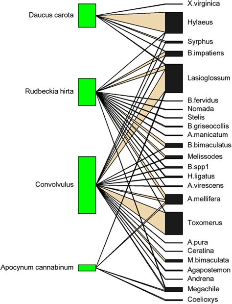 Plant Pollinator Network Based On Removal Simulation Showing One