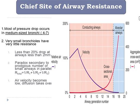 Pulmonary Ventilation Ppt Video Online Download