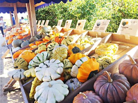 The Best Activities During Autumn In Switzerland Europe Diaries