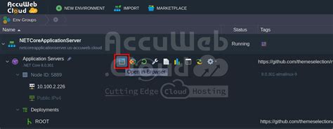 Build And Deploy Net Core Application On Accuweb Cloud