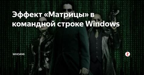Эффект Матрицы в командной строке Windows Whoami Дзен