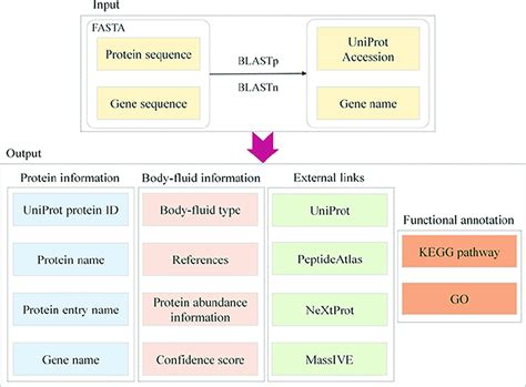 Construction Workflow And Utilities Of Querying Page Download