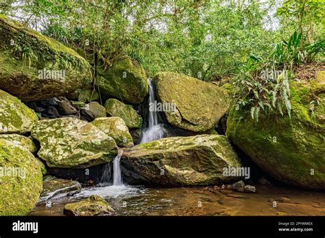 Small Waterfall Among The Rainforest Vegetation Of Ilhabela Island With