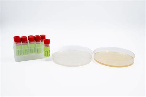 Reference Material For Iso 11930 Cosmetics • Biosistostandard