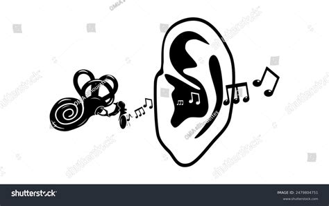 Human Ear Anatomy Black Isolate Silhouette Stock Vector Royalty Free