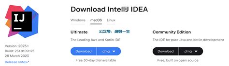 intellij idea 2023 1 最新破解教程 永久激活 图文破解教程 专属激活码（文末附件有工具） ide激活网