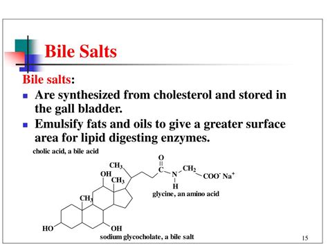 What Produces Bile Salts At Ronald Lockett Blog