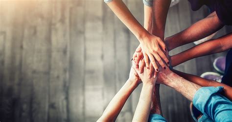 Viveka Mitgliedschaft Viveka Akademie