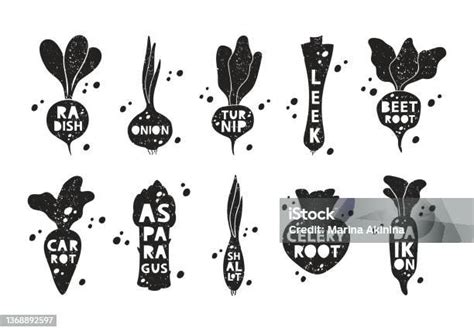 야채와 뿌리 작물 그런지 스티커 세트 무 양파 순무 사탕무 부추 당근 다이콘 아스파라거스 샬롯 셀러리 채소에 대한 스톡 벡터