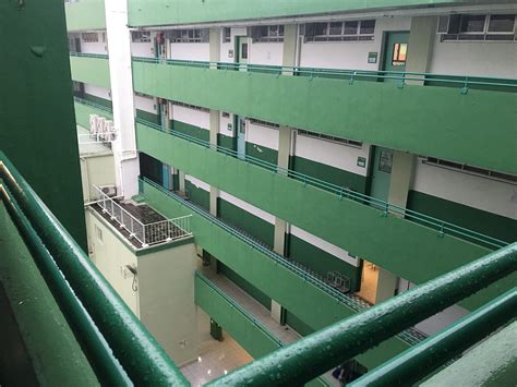 Education In Hong Kong I Was Born And Raised In Hong Kong By Cherrie Yeung Medium