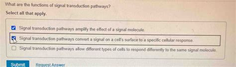 Solved What Are The Functions Of Signal Transduction Pathways Select
