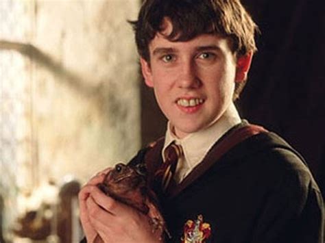 Brekkie Wrap Vet Kristen Lindsey ‘shot Cat With Crossbow Posted Picture To Facebook News