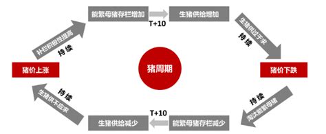 农业农村部 月末全国能繁母猪存栏量 万头机构猪价或继续下探提供者FX