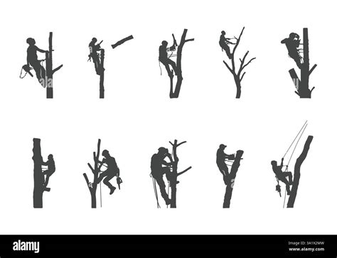 Tree Surgeon Svg Tree Arborist Svg Tree Services Svg Tree Surgeon Working Svg Tree Surgeon