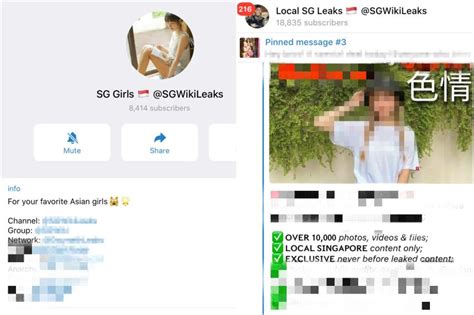 Telegram Group Circulating Obscene Images Allegedly Of Singaporean