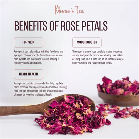 The Benefits Of Rose Petals Khwans Tea