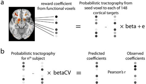 Overview Of The Leave One Out Cross Validation Regression Approach A Download Scientific
