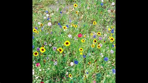 함병선 9z Lover Official Audio Youtube Music